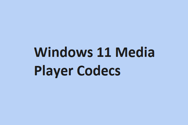 Was sind Windows Media Player Codecs in Windows 10/11?