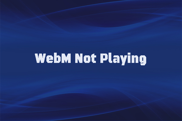 Discover the Solutions to Fix the WebM Not Playing Error