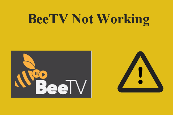 BeeTV Not Working: The Best and Effortless Solutions for You