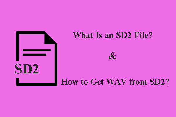 SD2 File: An Effortless Way to Understand and Convert It