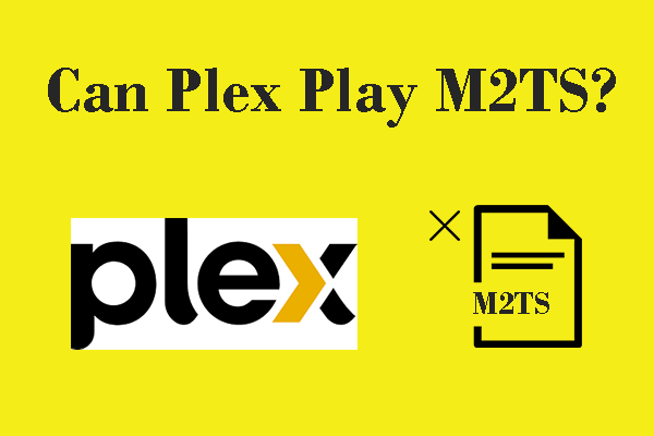 Can Plex Play M2TS: The Best Answer That You Should Know
