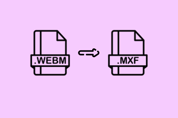 Expert Guide on How to Convert WebM to MXF [3 Effective Ways]