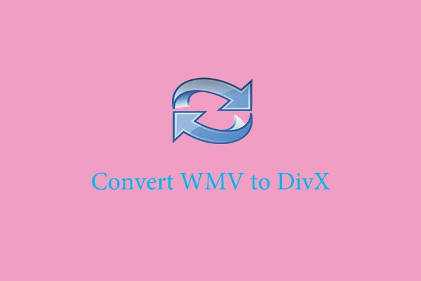 6 Free and Easy Methods to Help You Convert WMV to DivX