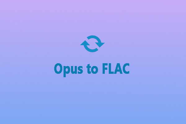 Proven and Easy Ways to Convert Opus to FLAC or Vice Versa